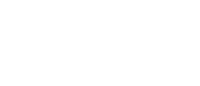 Judge Executive - Adair County